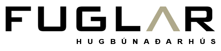 Full Stack Developer